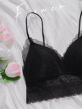 Delicate Touch Triangle Bralettes - ntbhshop